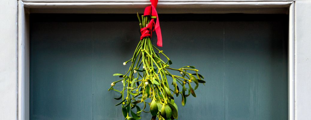 Where Did the Mistletoe Tradition Come From?